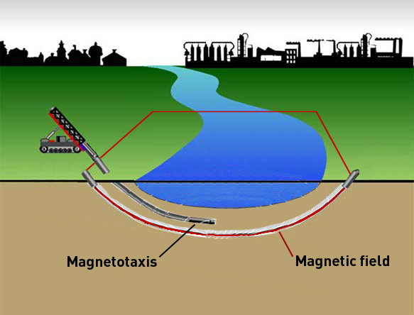Pinpoint Engineering